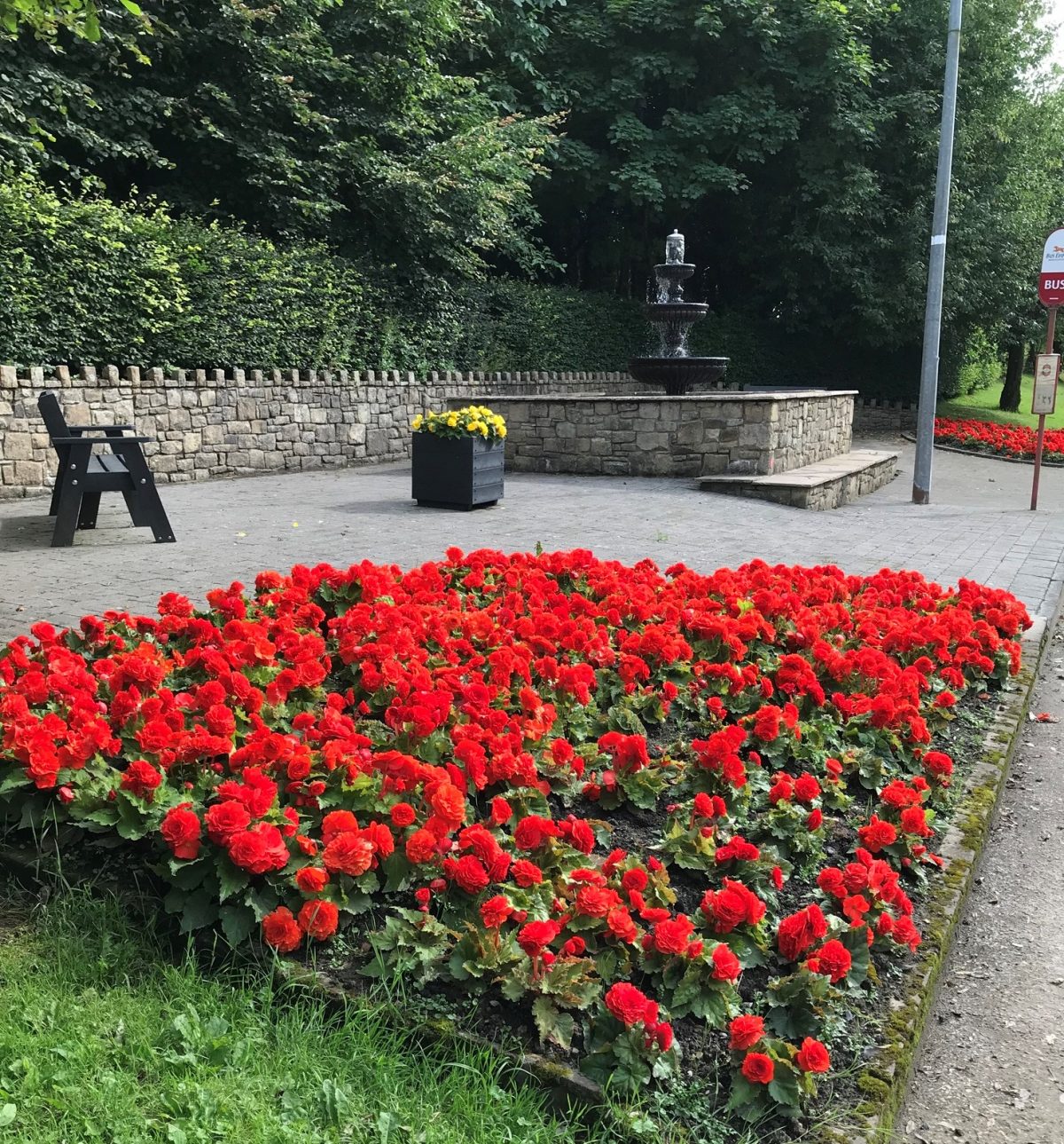 GALLERY – Birdhill Tidy Towns